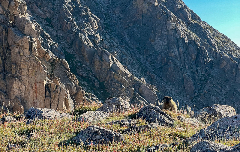 Hallett Peak, Otis Peak, Andrews Glacier, and Lake Haiyaha - McGregor ...